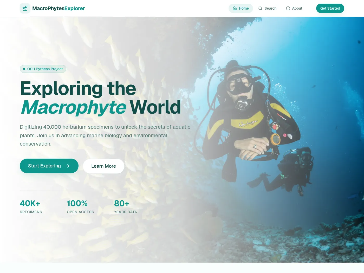 MacroPhytes Explorer