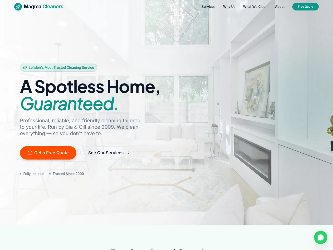 Magma Cleaners Website