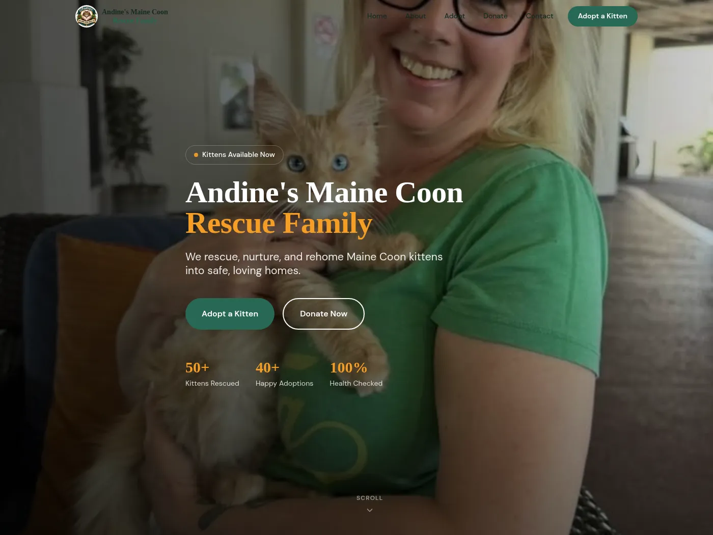 Maine Coon Rescue Hub