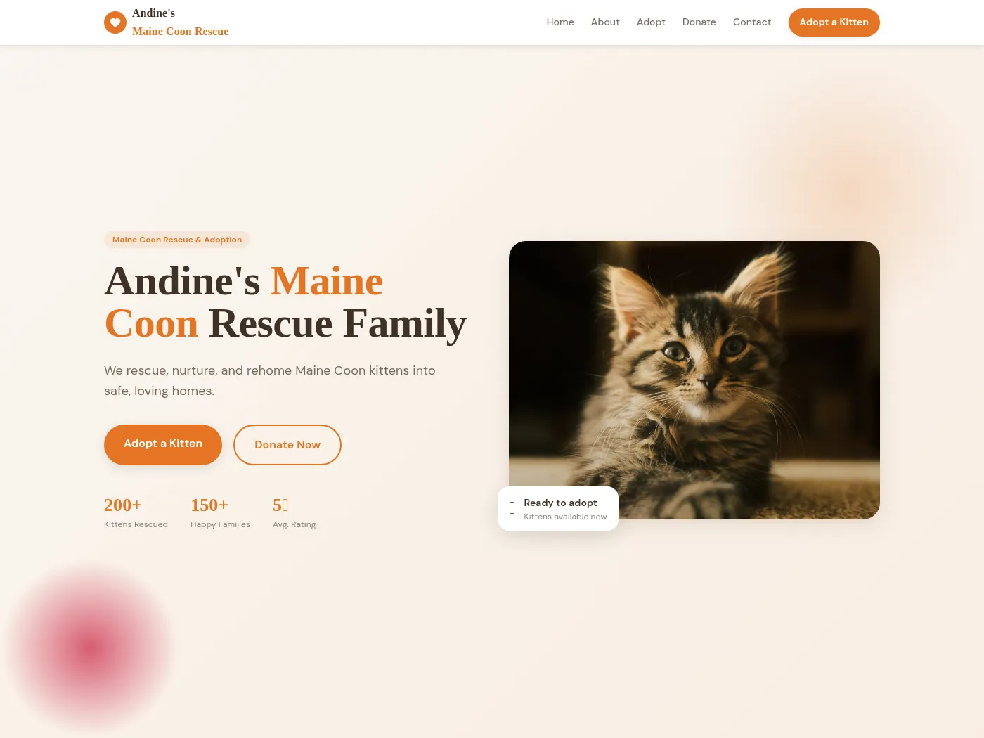 Andine’s Maine Coon Rescue