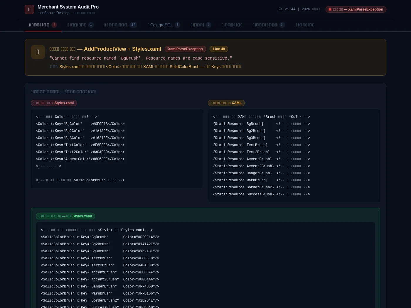 Merchant System Audit Pro