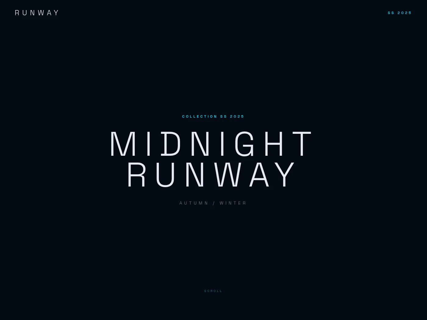 Midnight Runway Landing