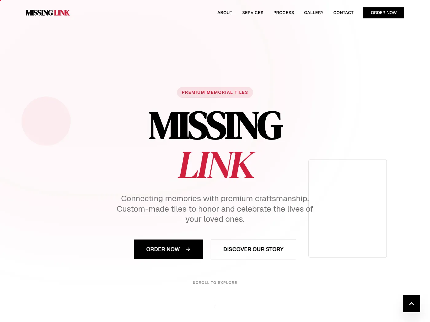 Missing Link Web