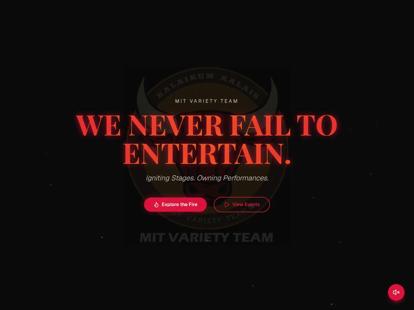 MIT Variety Team Website