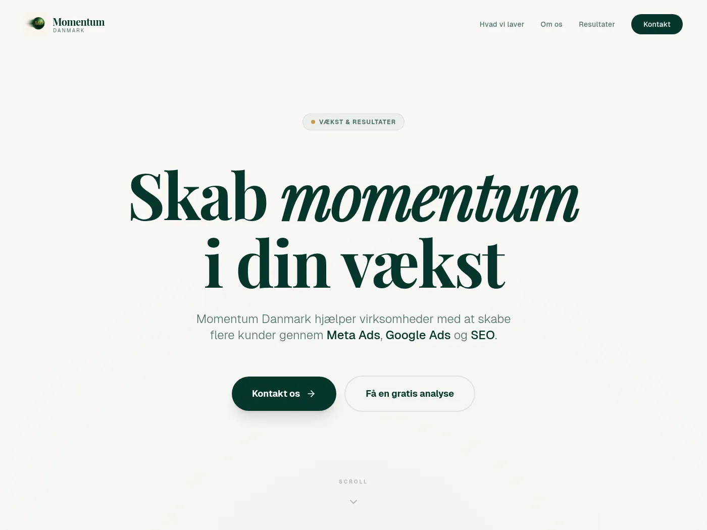 Momentum Danmark Web