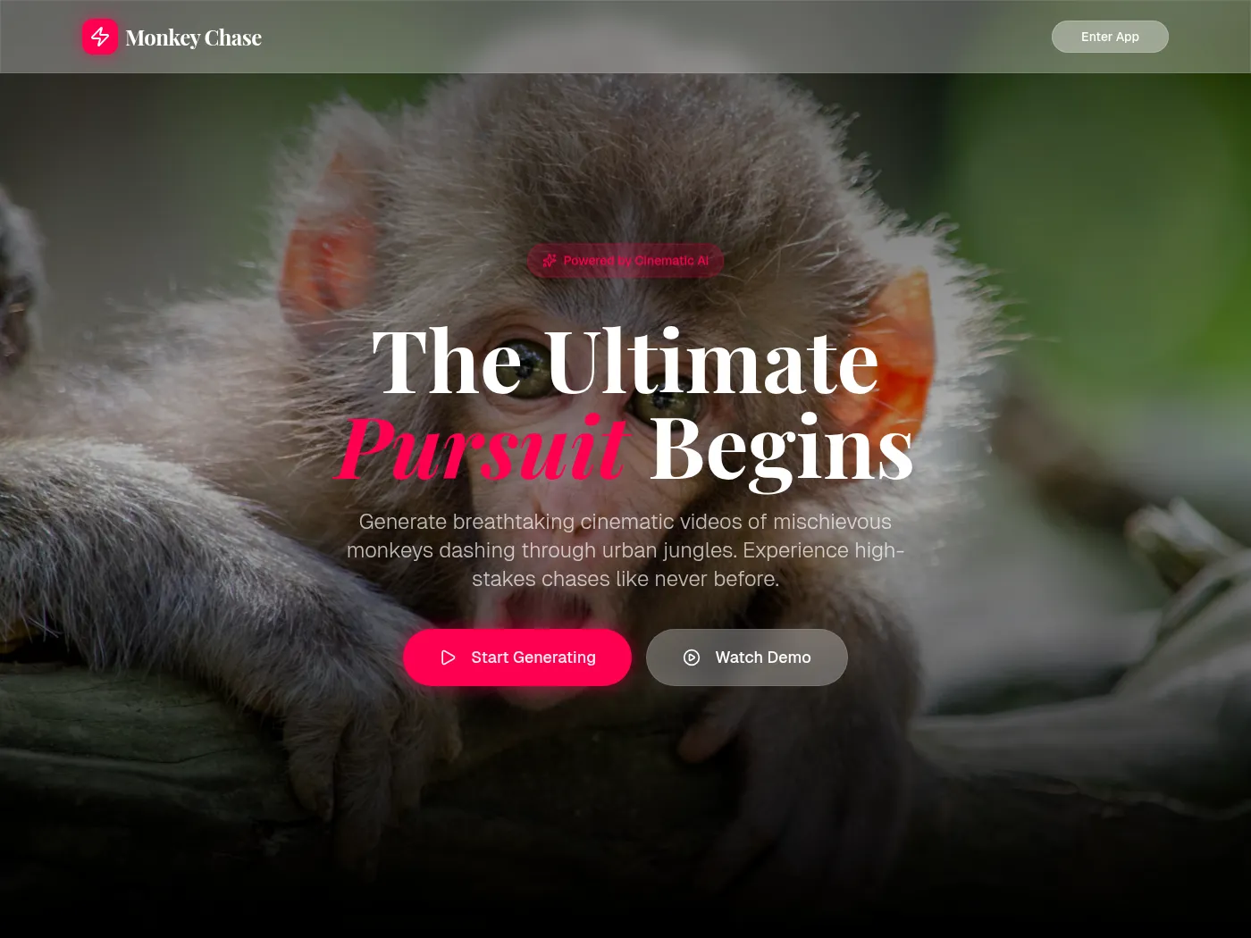 Monkey Chase Video Game