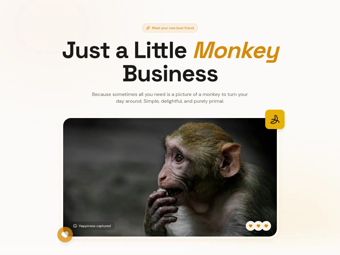 Monkey Pic Page