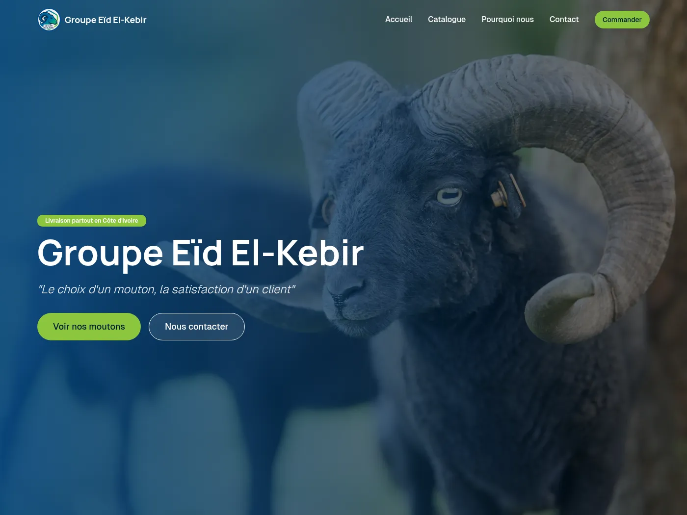 Mouton Côté d'Ivoire