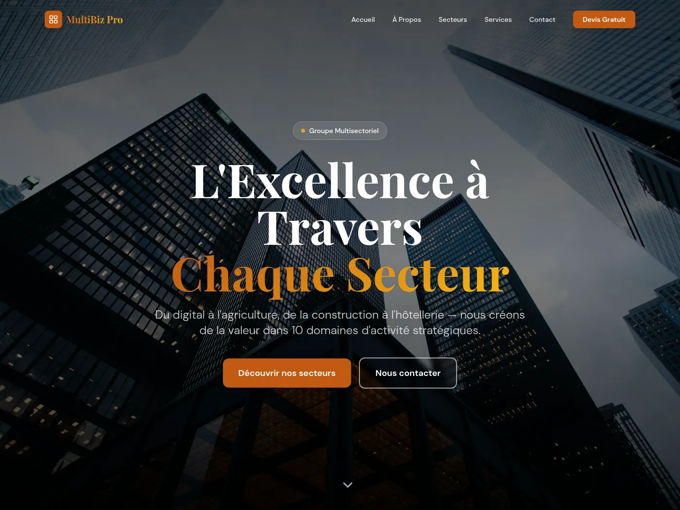 MultiBiz Pro Web Portal