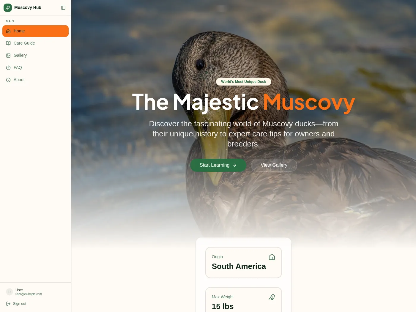 Muscovy Ducks Hub