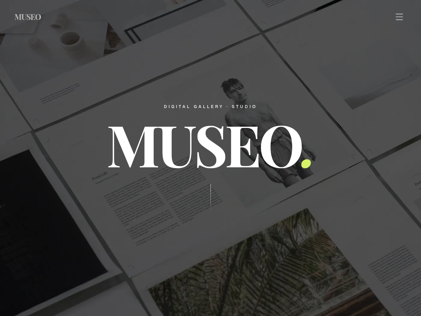 Museo Portfolio Gallery