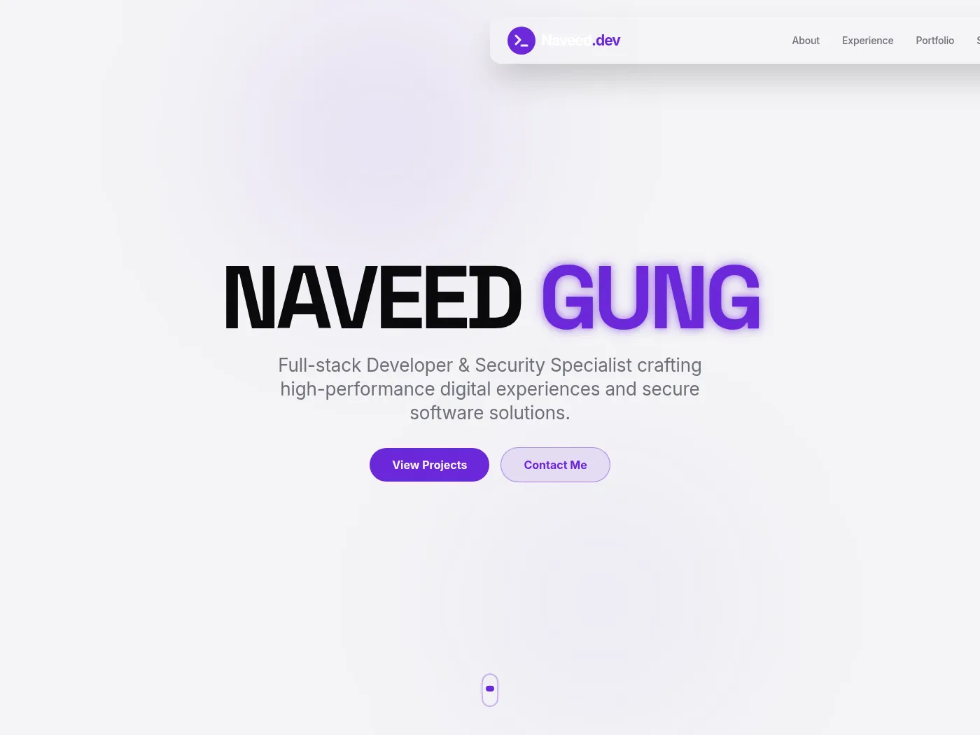Naveed Gung 3D Portfolio