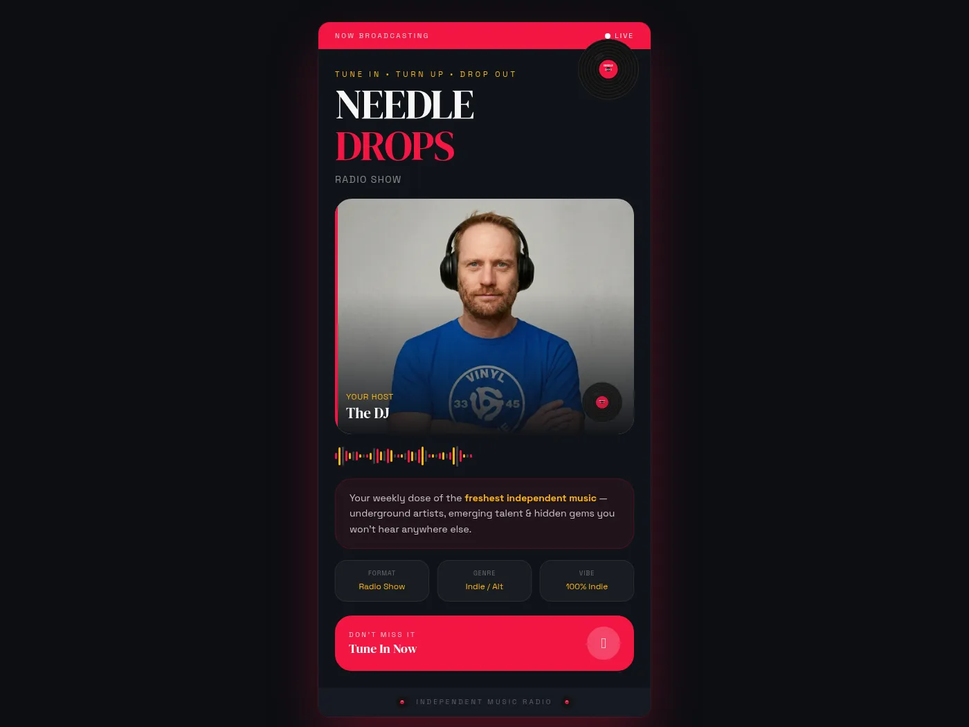 Needle Drops Flyer
