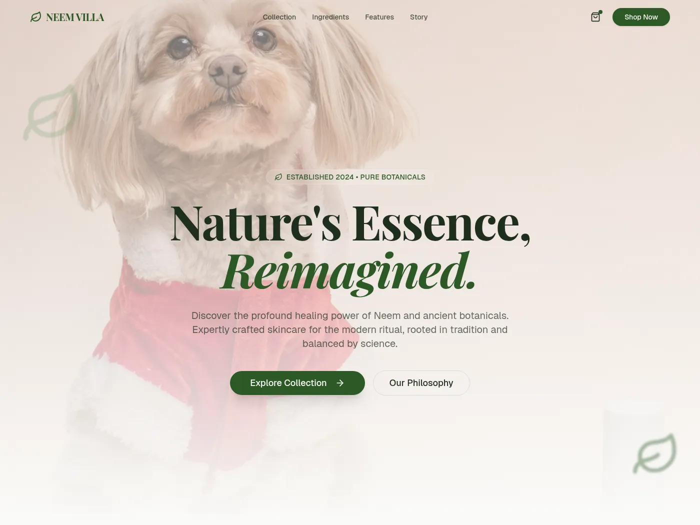 Neem Villa Cosmetics