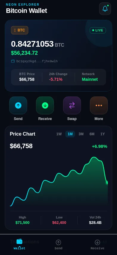 Neon Wallet Explorer