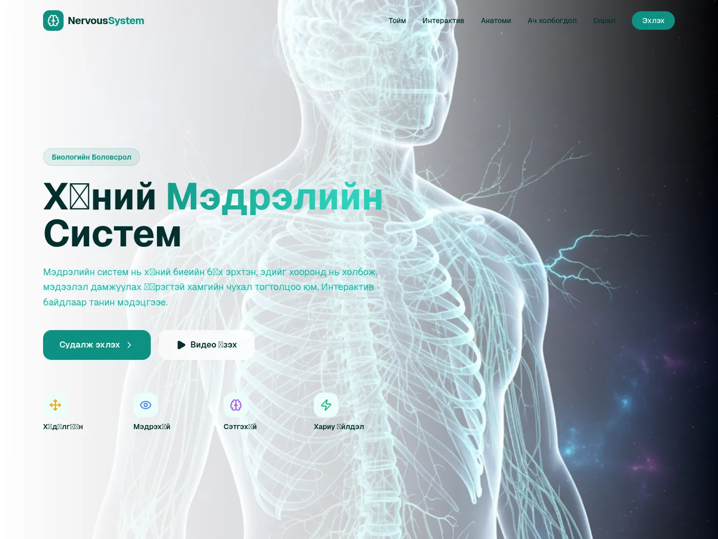 Nervous System Pro