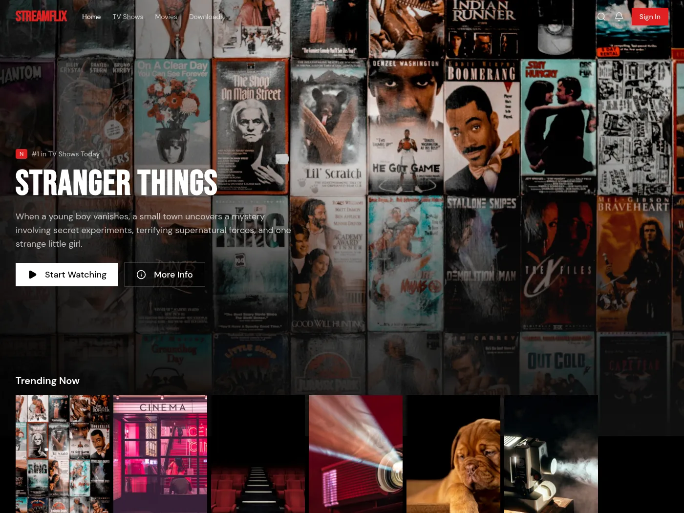 Downloadable Netflix Clone