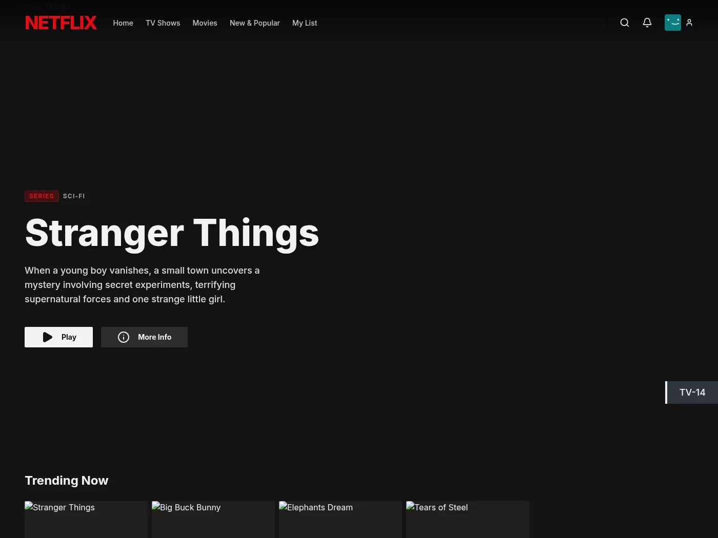 Netflix Video Clone