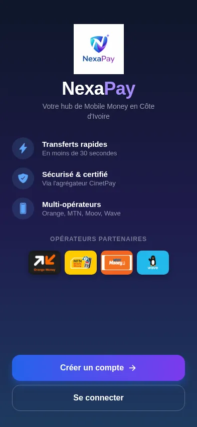 NexaPay Money Hub