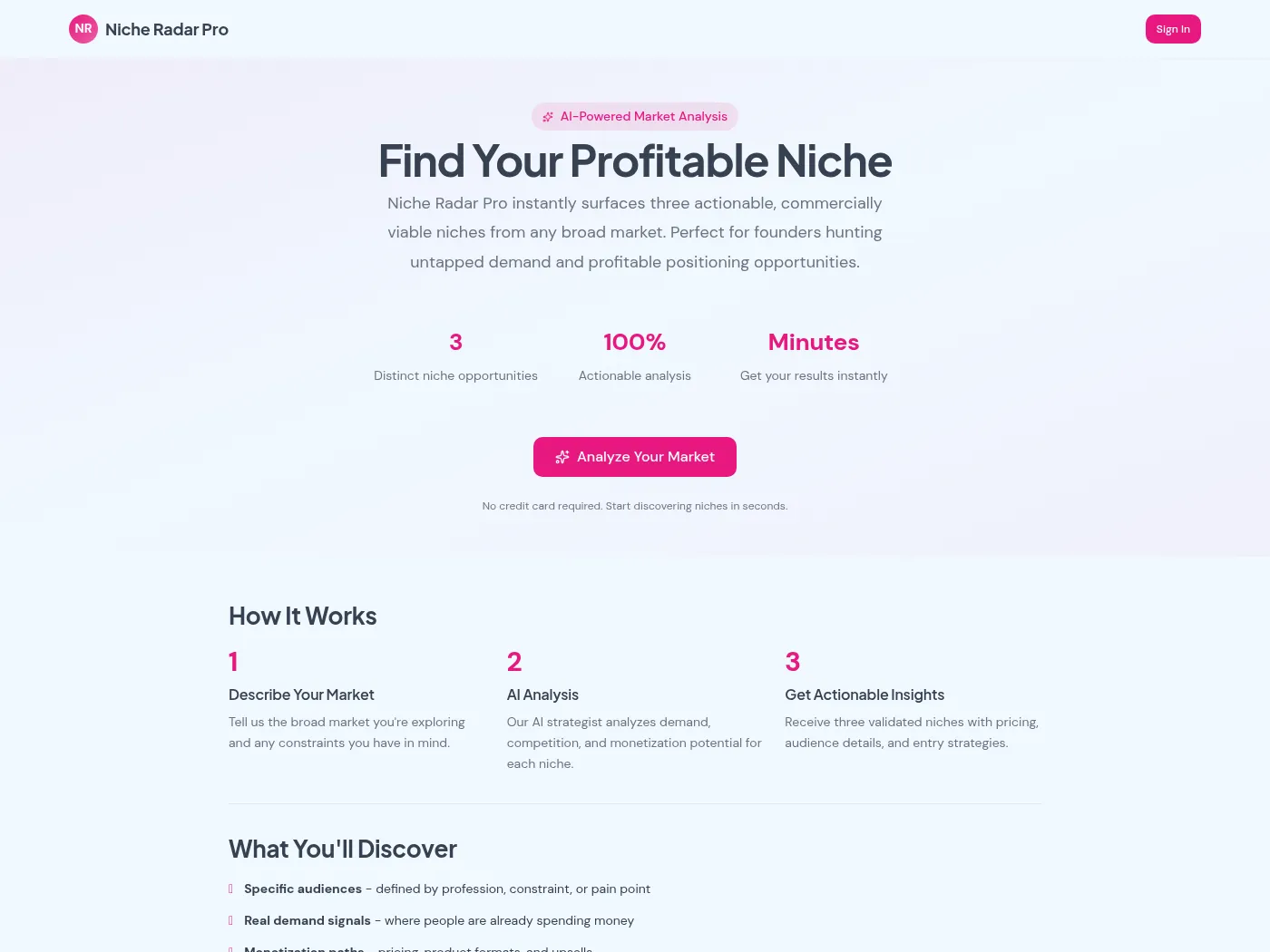 Niche Radar Pro