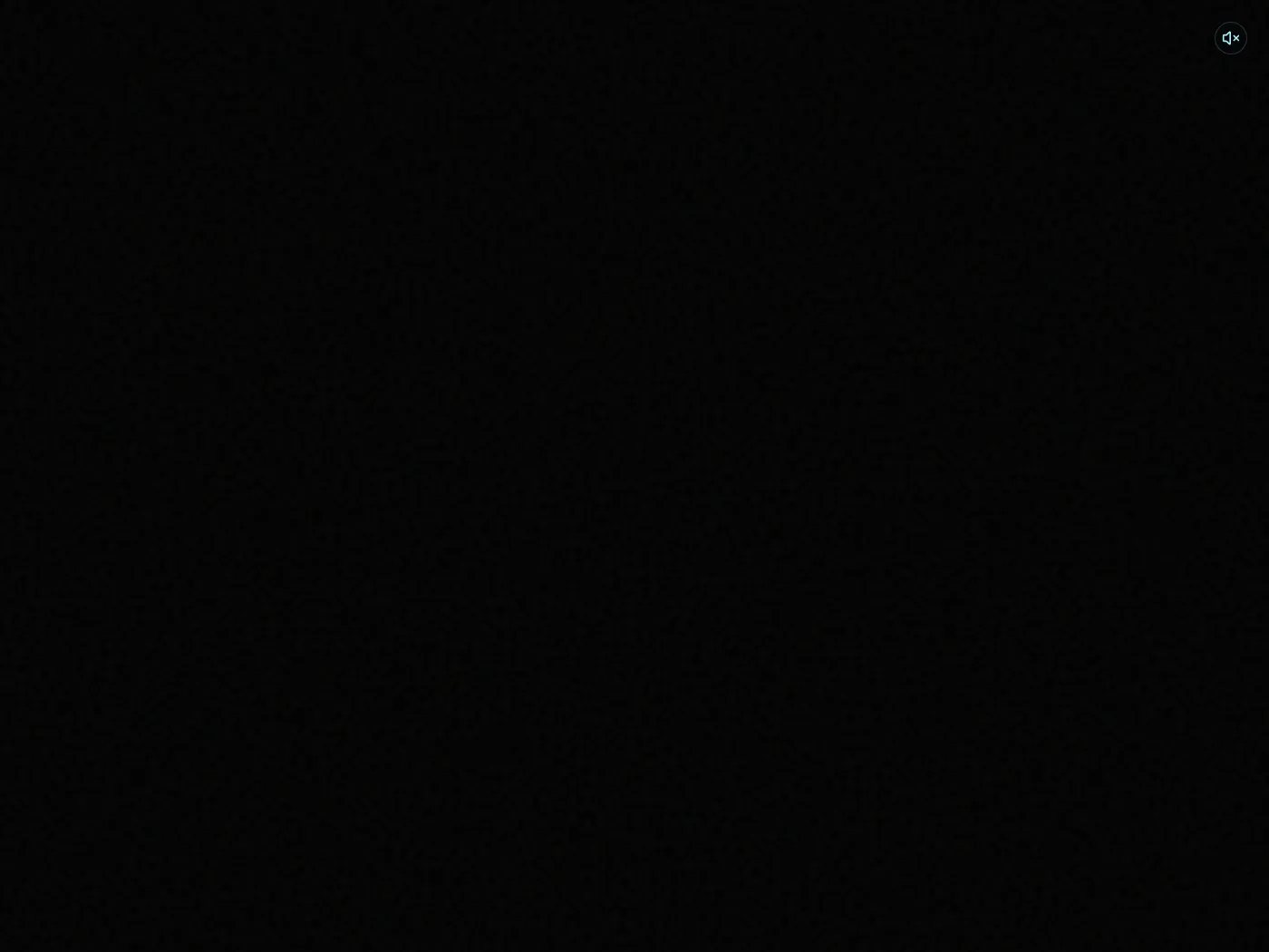 Night Alone Experience