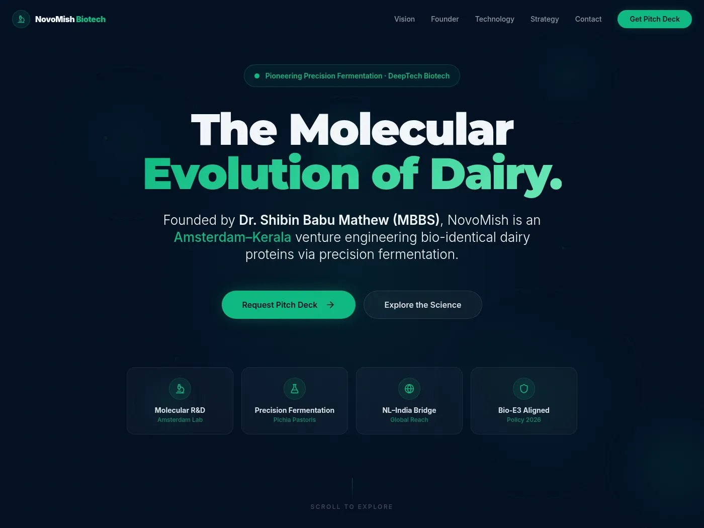 NovoMish Vision Page
