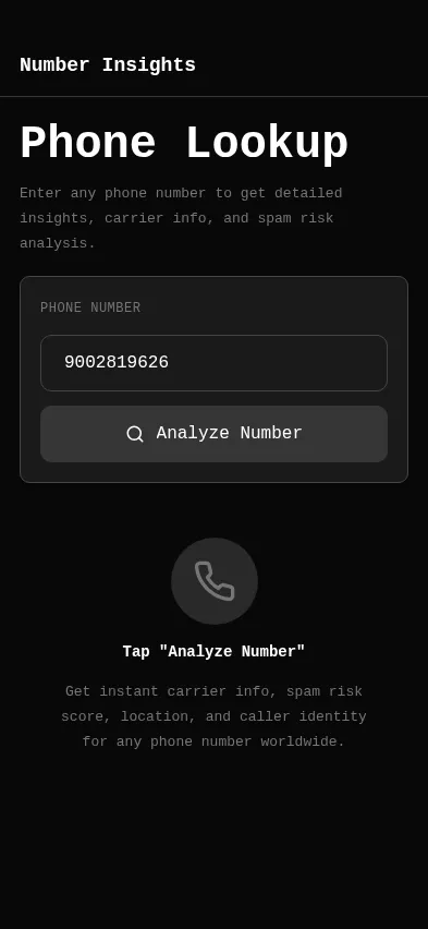 Number Insights