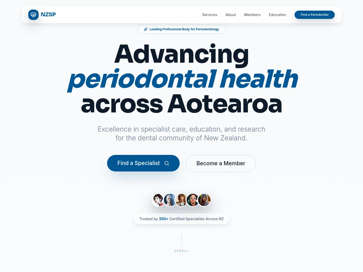 NZSP Premium Homepage UI