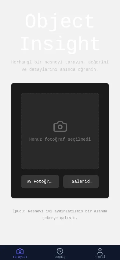 Object Insight Scanner