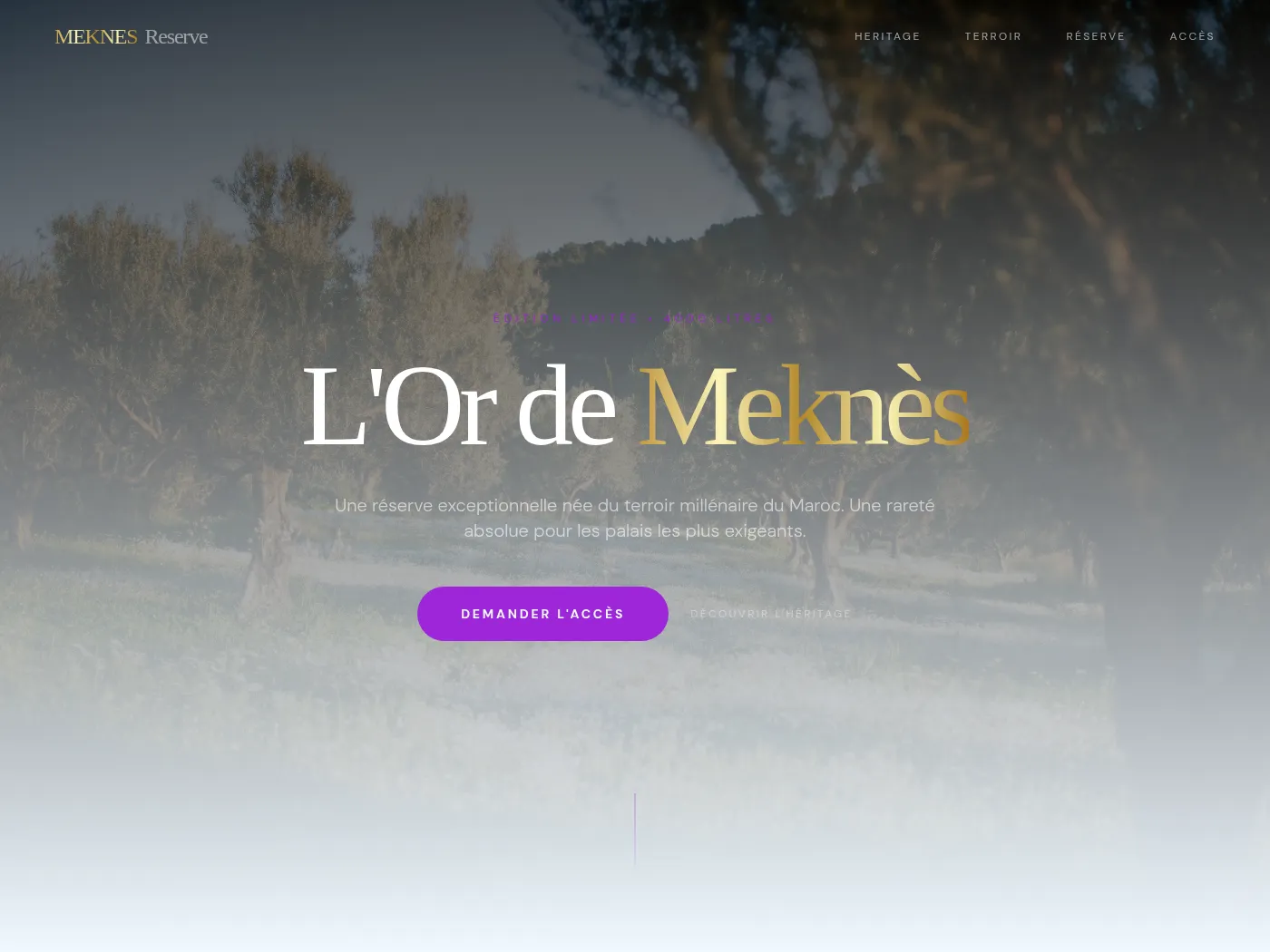 Meknes Olive Reserve
