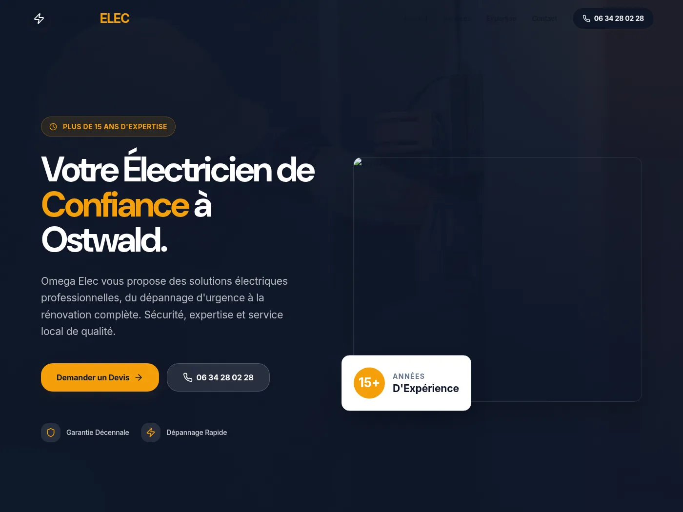 Omega Elec Web Presence