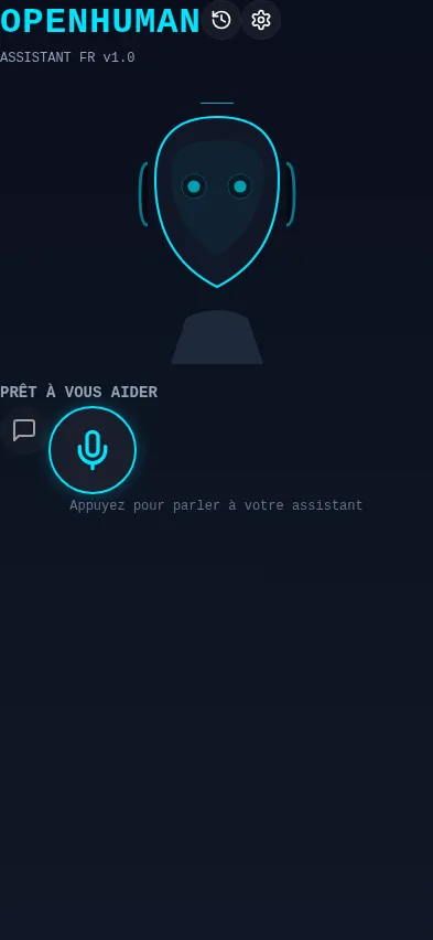 OpenHuman FR Assistant
