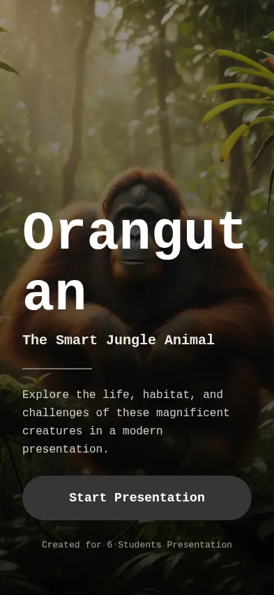 Orangutan Wonder Presentation