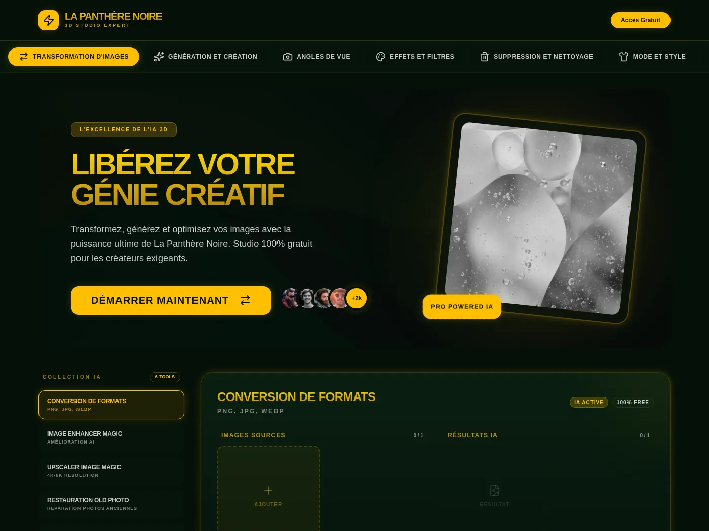 La Panthère Noire 3D Studio