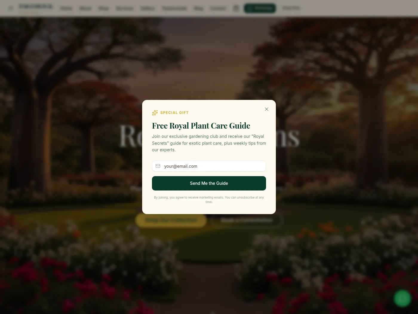 Paranroyal Ventures Web Suite