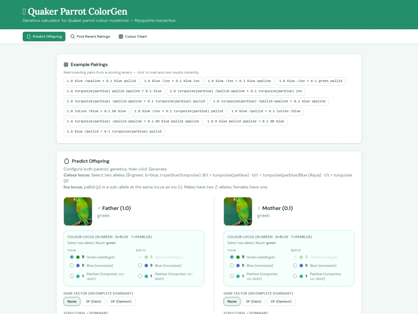 Quaker Parrot ColorGen