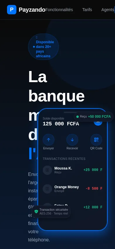 Payzando – Fintech Africaine