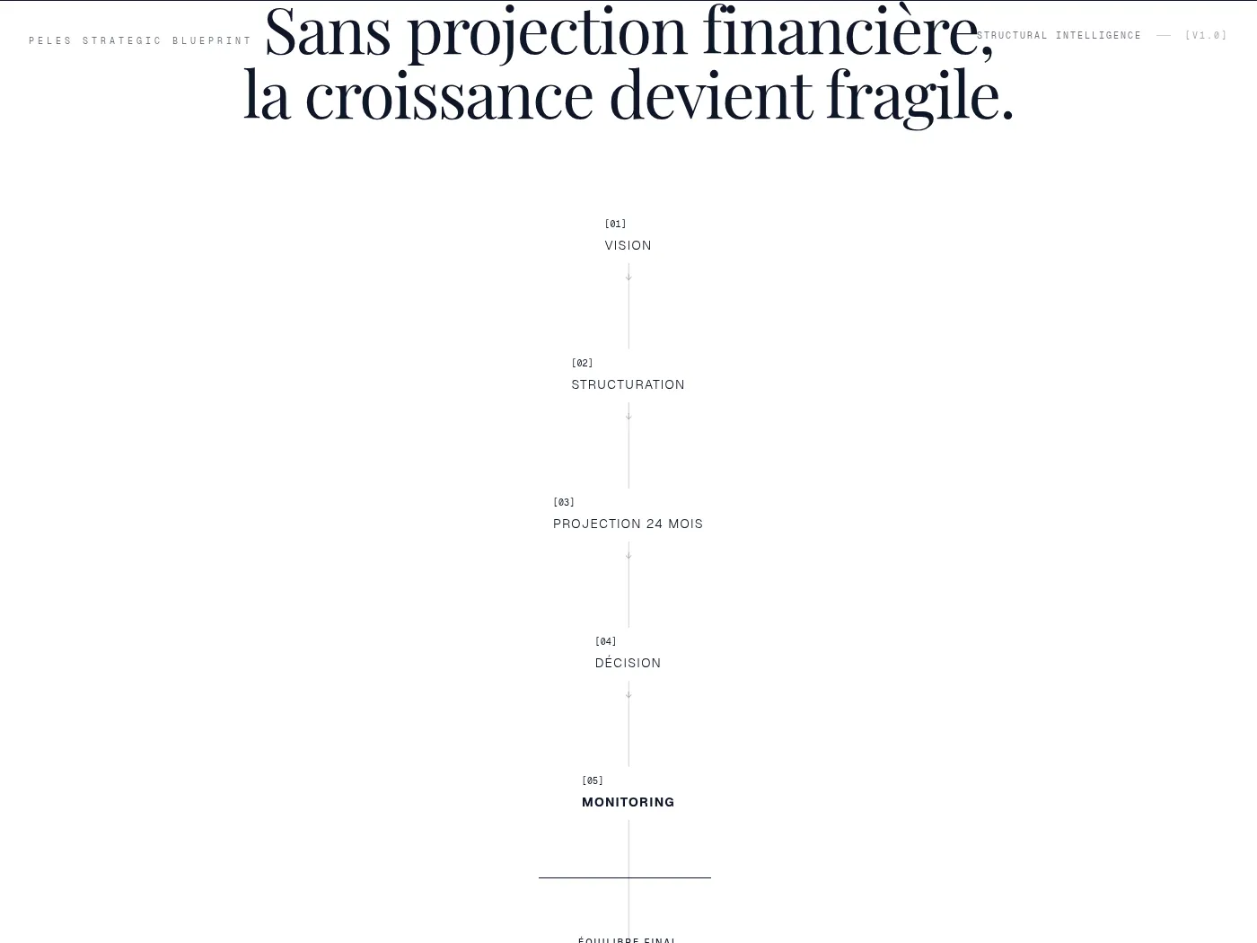 PELES Strategic Blueprint