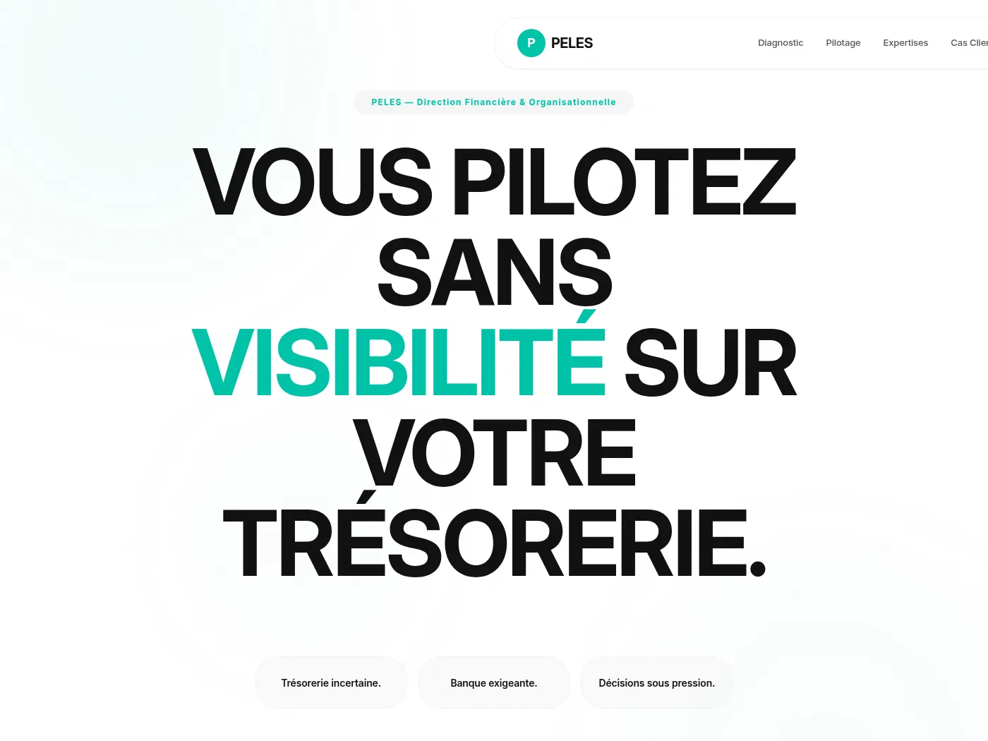 PELES Luxe Finance Site