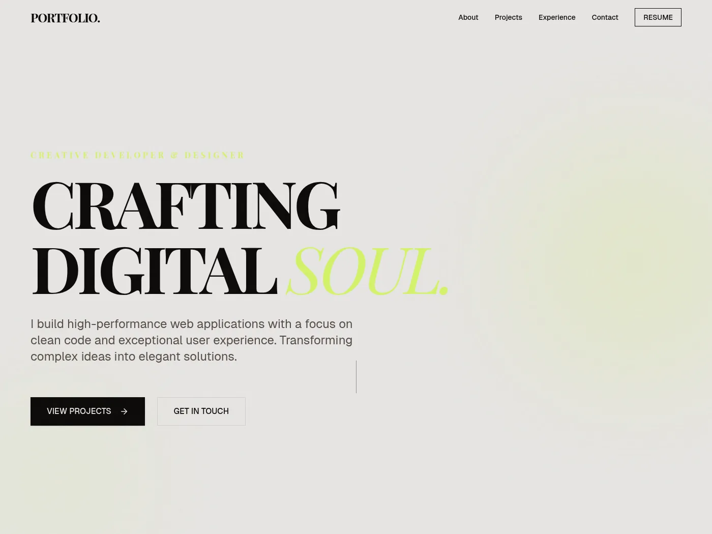 Pro Portfolio Site
