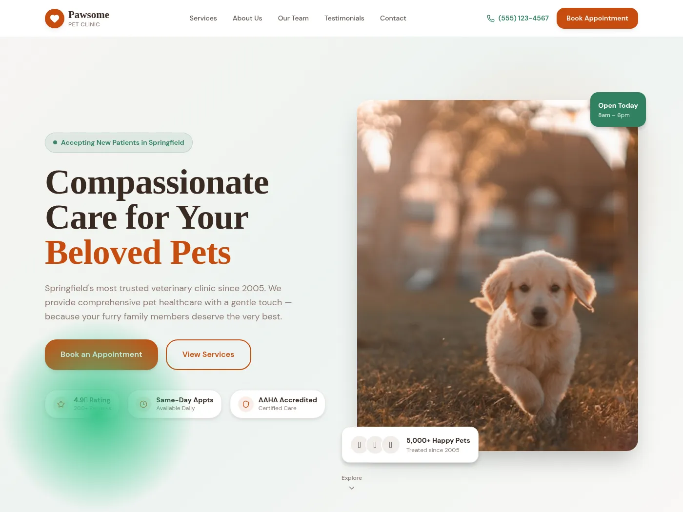 Pet Clinic SEO Site