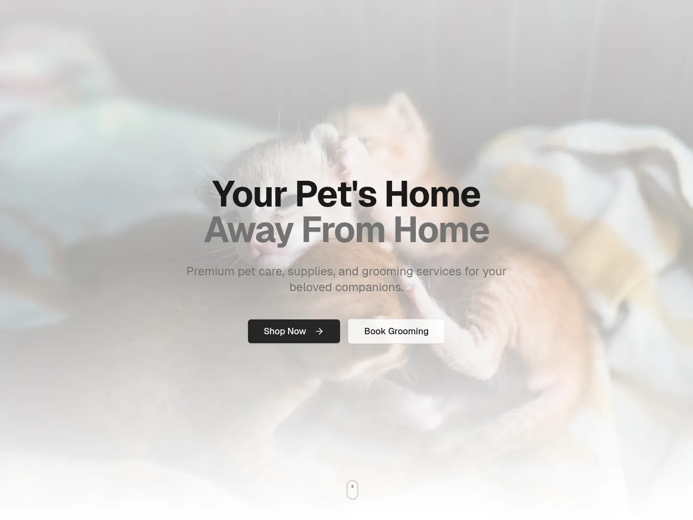 Pet Store Landing Page