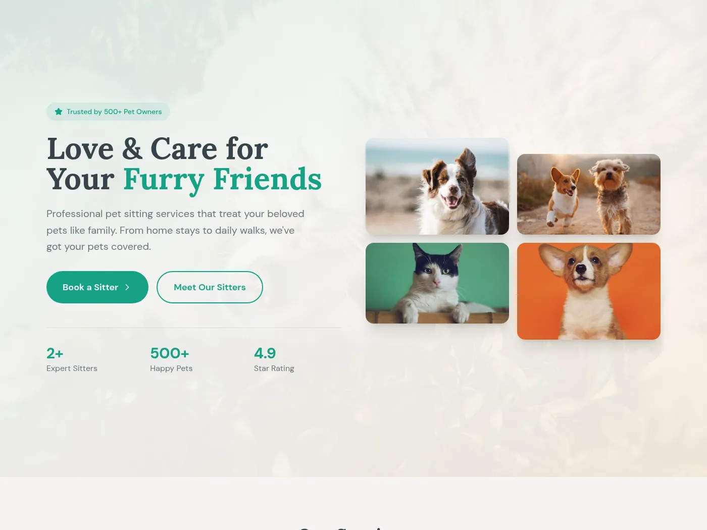 PetSitter Pro