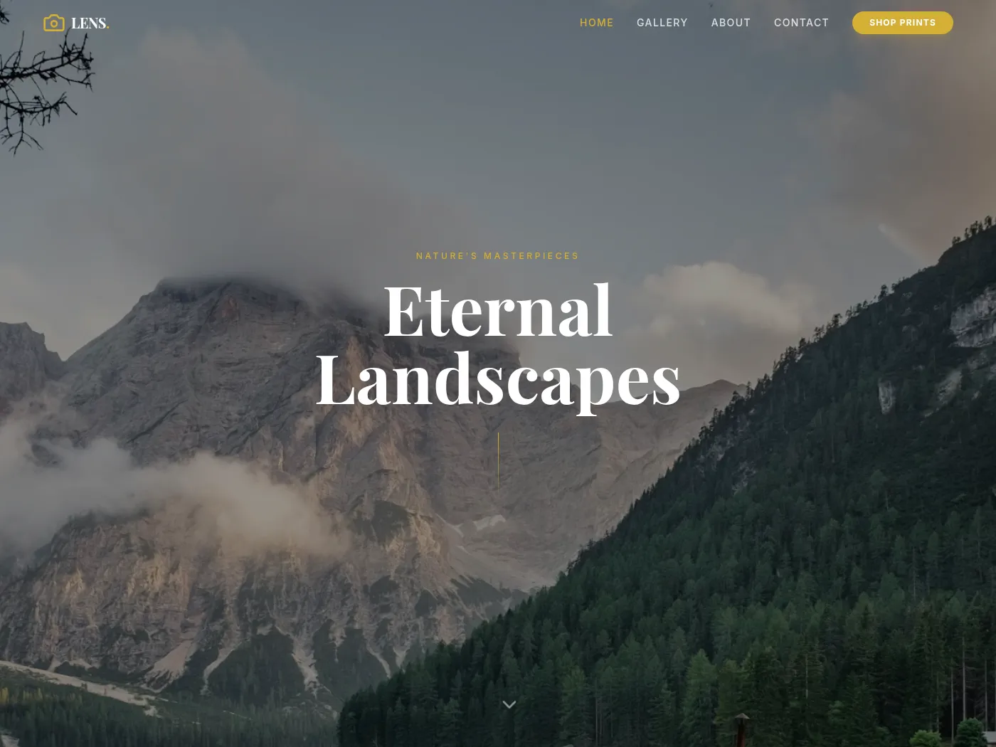 Lens Showcase Portfolio