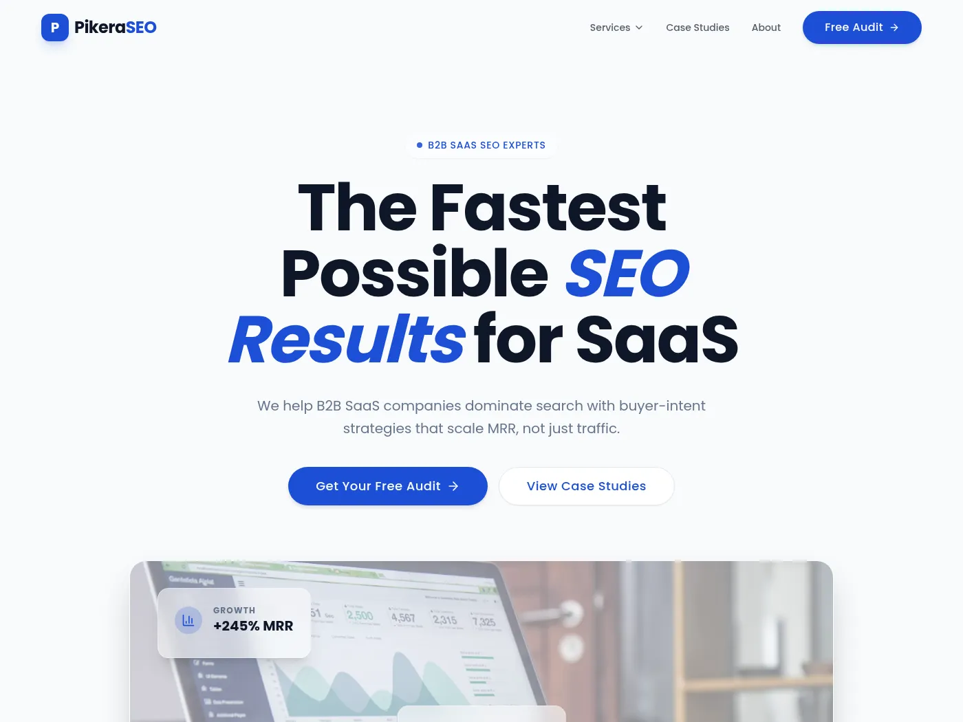 Pikera SEO Landing Page