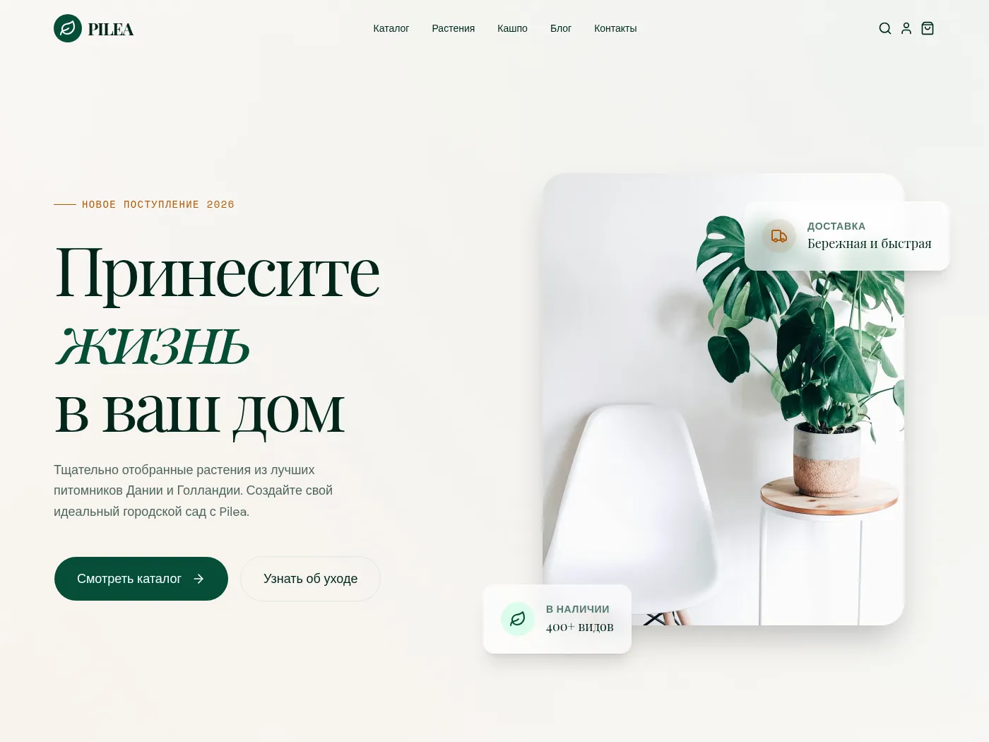 Pilea Plant Shop Revamp
