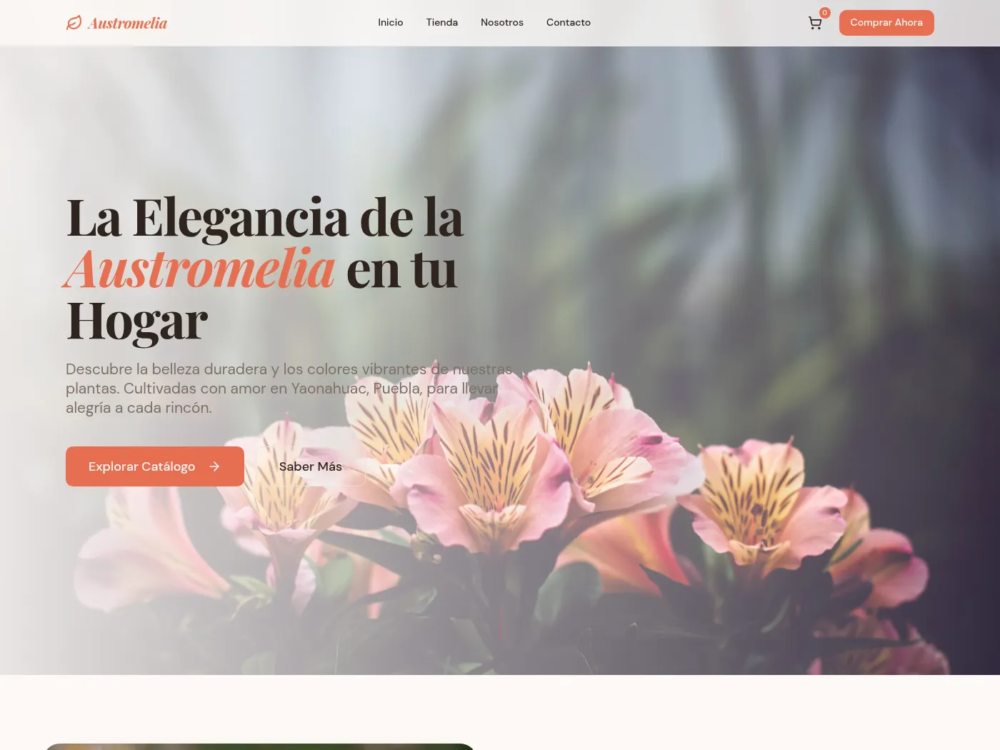 Austromelia Plant Shop