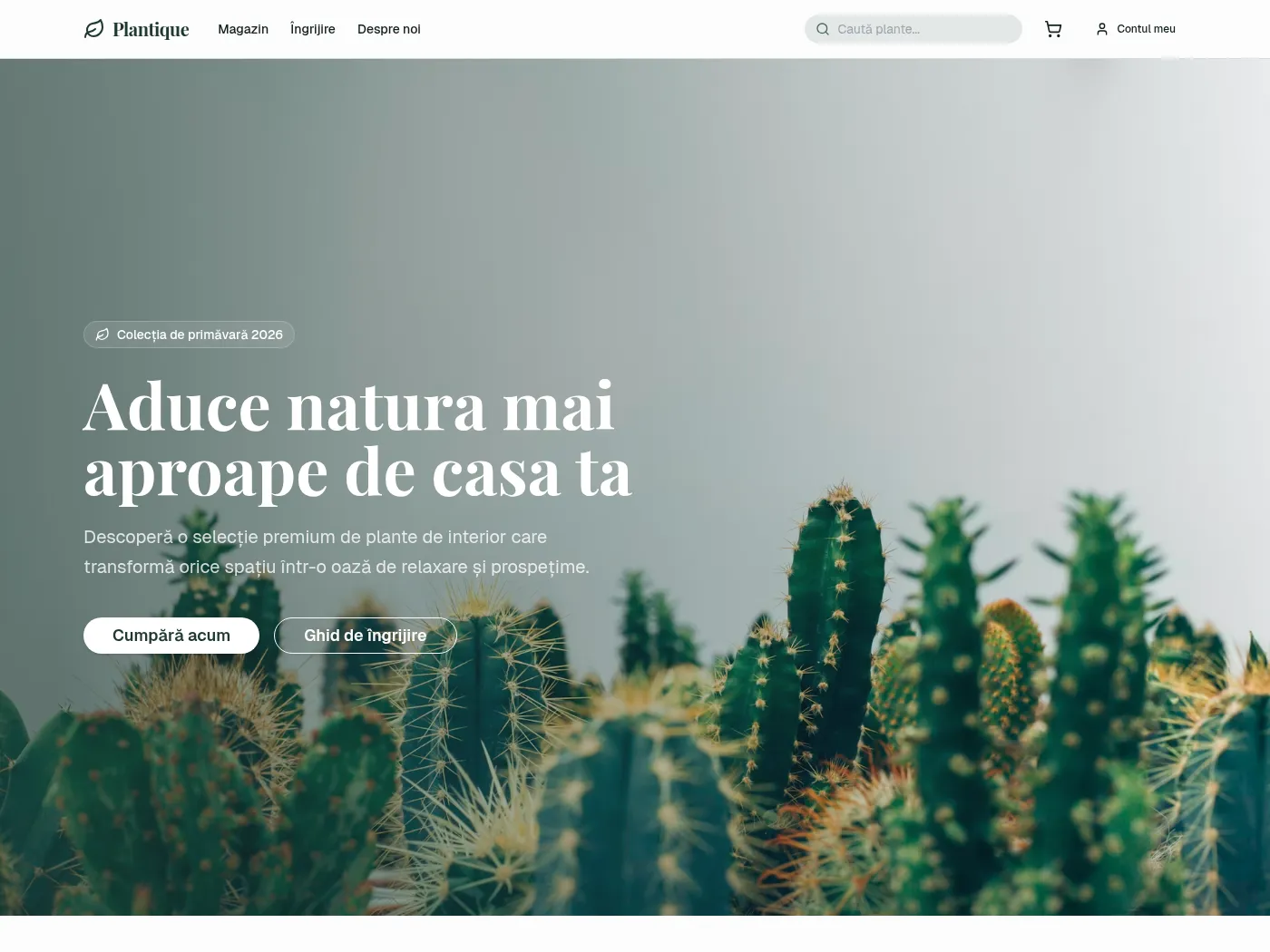 Plantique Plant Shop