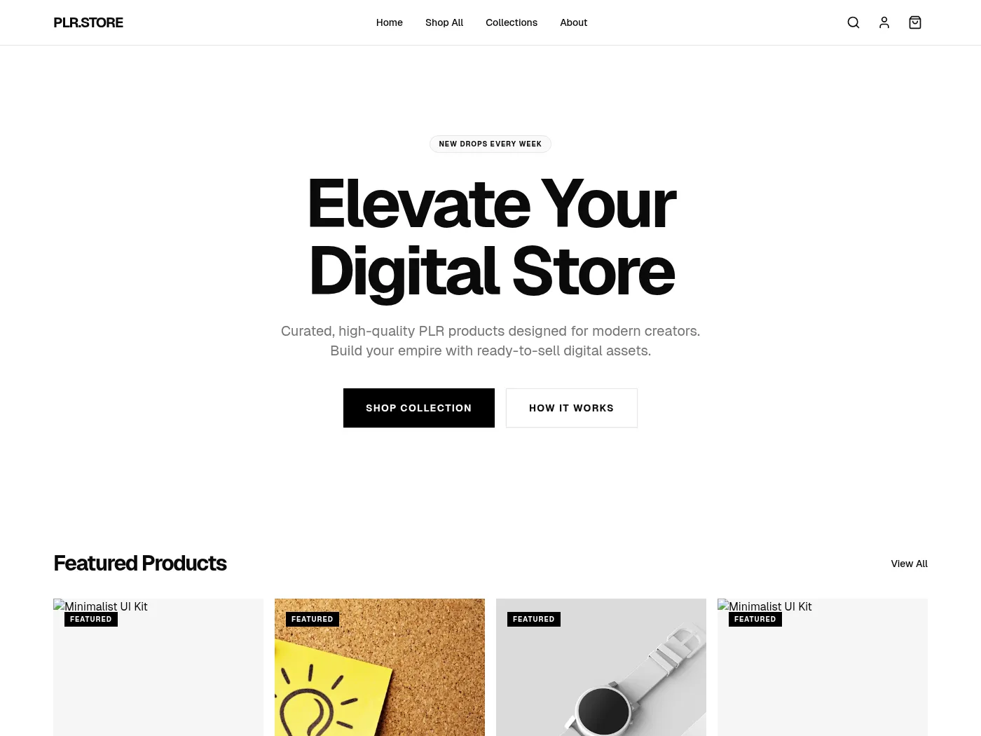 Minimalist PLR Storefront