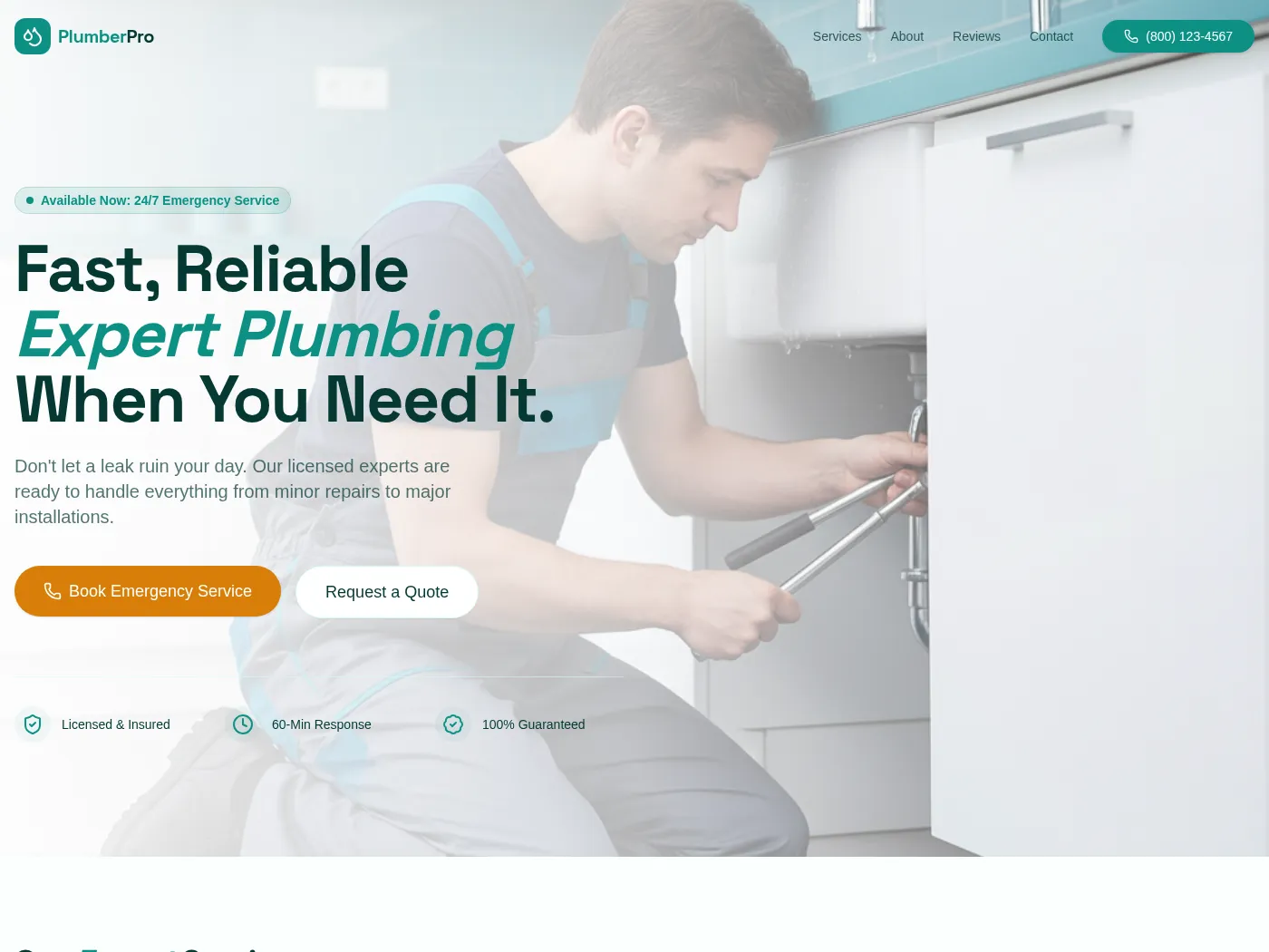 Plumber Pro Site Demo